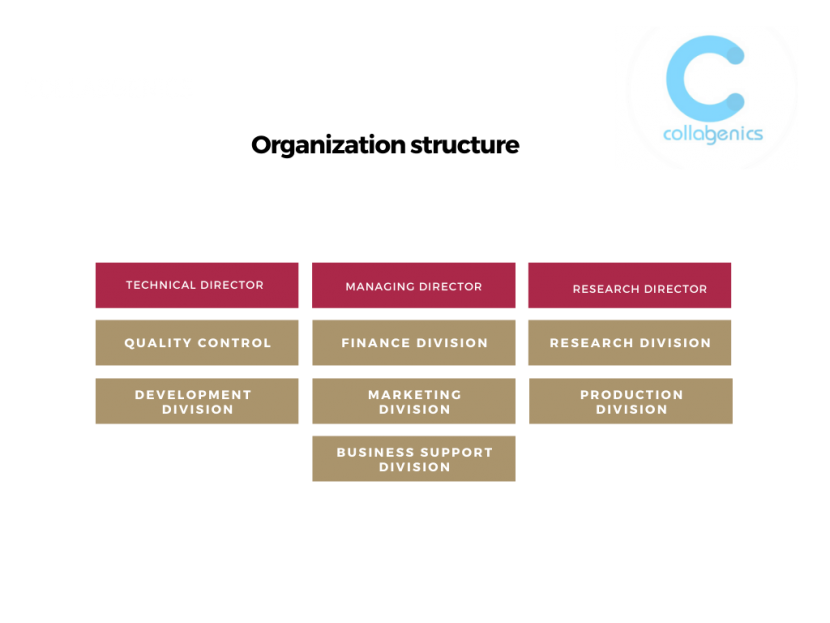 Woodcreek Academy Lacrosse Club Organizational Structure (1) | Collabgenics